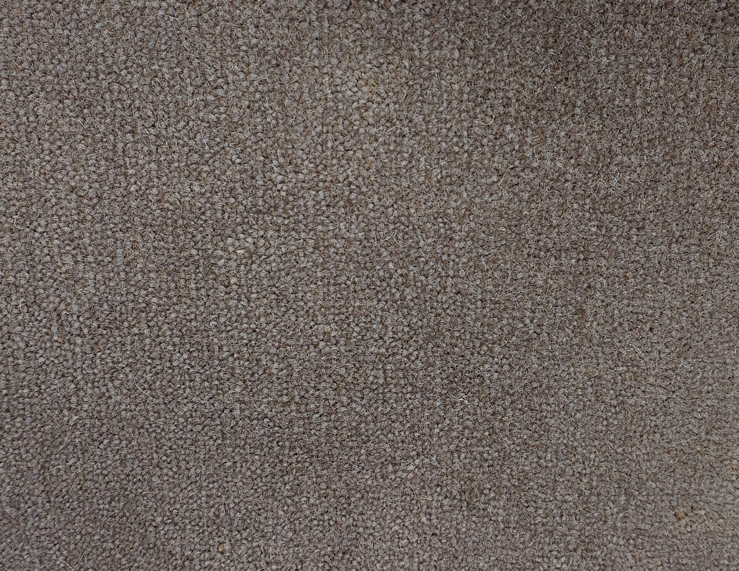 Larnach / plush pile | Carpet Depot